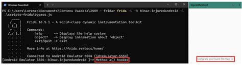 Frida The Tool Dedicated To Mobile Application Security