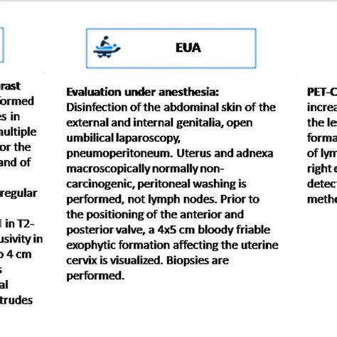 Logical View Of The Virtual Assistant Dashboard And Use In Download Scientific Diagram