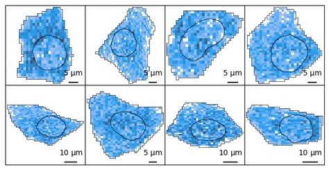 Spatial Plotting Bento Tools Spatial Plotting Bento Tools