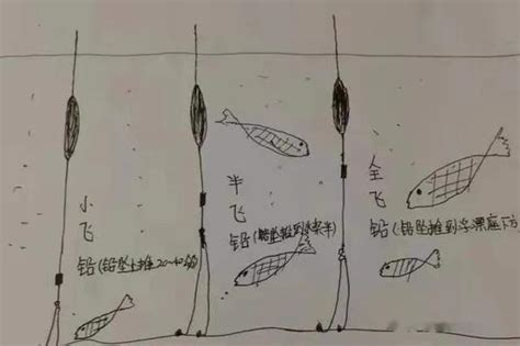小小铅坠却有大用途，只需换换座位 知乎