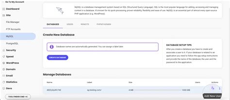 My Siteground Account