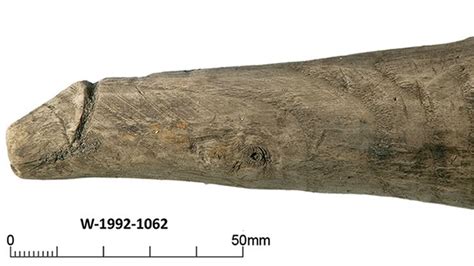 Roman Sex Toy Discovered After Experts Re Examine 2000 Year Old Wooden