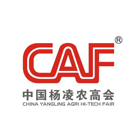 农高会小助手丨我们不是垮掉的一代心之所向行必能至 搜狐大视野 搜狐新闻