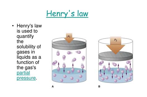 9 Surprising Facts About Henrys Law
