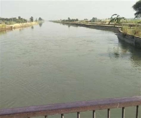 कानपुर युवक की हत्या कर गंग नहर में फेंका शव आसपास के पास गांवों में