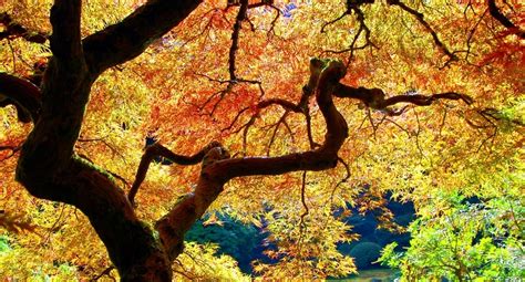 Using Various Callback Function Of Slideshow JQuery Plugin