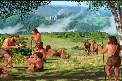 Nuestros Antepasados Prehistóricos Consumían Vegetales Cocinados