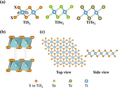 A Optimized Geometric Structures Of 2d Tix2 The Constituent Ti And X Download Scientific