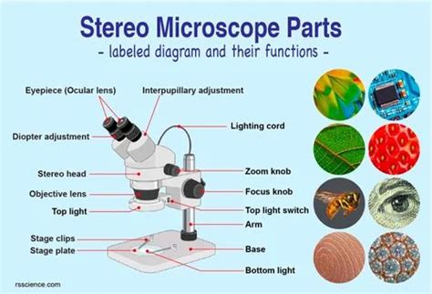 Olympus Dissecting Microscope 10x Is It Portable Portable At Best Price In Ambala
