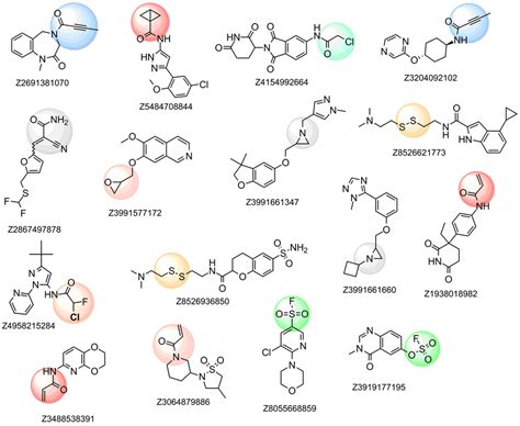 共价片段库 Enamine中国