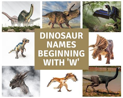 Dinosaur Names Beginning With W A To Z Dinosaurs