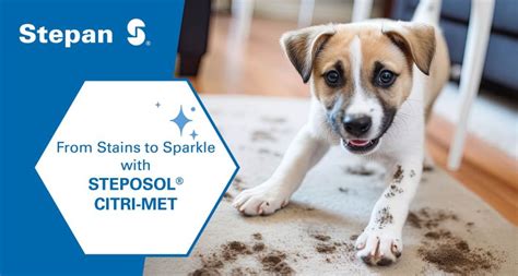 Stepan Company On Linkedin Spills And Stains Are Inevitable