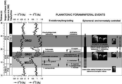 Summary Of The Major Evolutionarylong Lasting And Transient Download Scientific Diagram