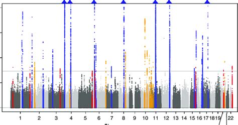 Manhattan Plot For The Meta Analysis Of Sua The Horizontal Line