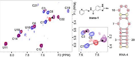 2d Total Correlation Spectroscopy Tocsy Nmr Fingerprints Of The Rna