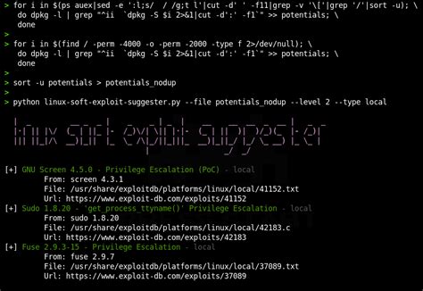 Linux Soft Exploit Suggester Cuando Solo Entrar No Es Suficiente