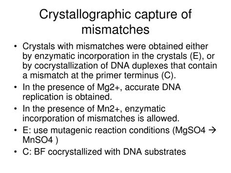 Ppt Structures Of Mismatch Replication Errors Observed In A Dna