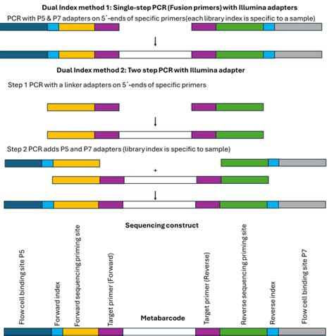 Sequencing Exploring Environmental Dna