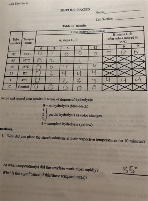 Solved This A Enzyme Lab About The Effect Of Temperature On