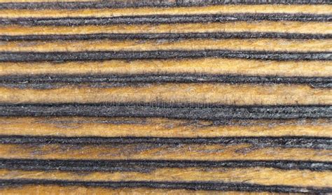 Structure Natural Snake Skin Pattern Piton Skin Background Python Skin Texture Background