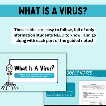 What Is A Virus Introduction To Viruses Biology High Babe Lesson