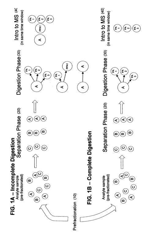 Linear High Throughput Proteomics Eureka Patsnap
