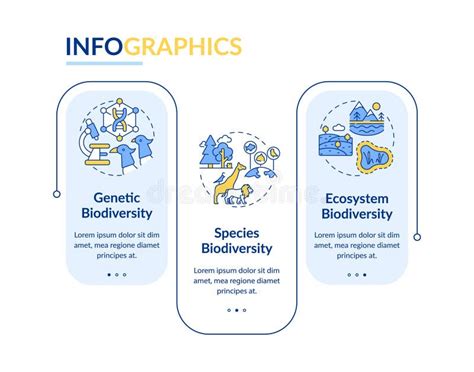 Types Of Biodiversity Rectangle Infographic Vector Stock Illustration