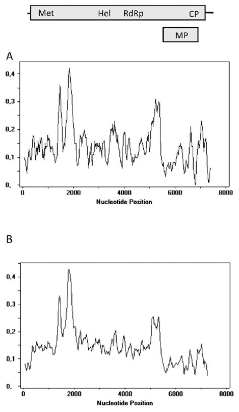 Nucleotide Diversity Index Calculated Along The Genomes Using Dnasp Download Scientific Diagram