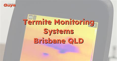 Reliable Termite Monitoring Systems Brisbane For Home And Business Qld
