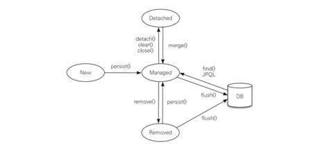 엔티티 생명주기entity Lifecycle Dyong Blog