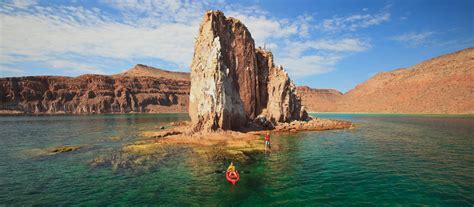 Baja California Mosaic Magdalena Bay And The Gulf Of California