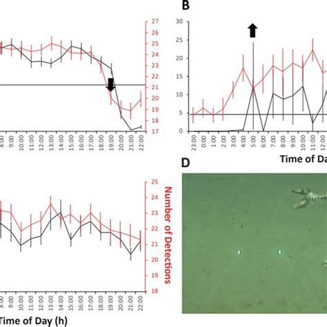Waveform Analysis For Current Speed And Water Column Pressure As Download Scientific Diagram