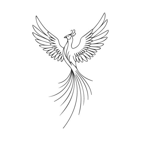 Phoenix Wings Drawing Easy