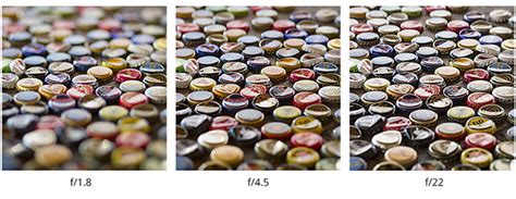 7 Deep Depth Of Field Examples