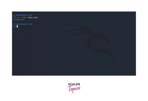 how to install the jq command in linux scaler topics