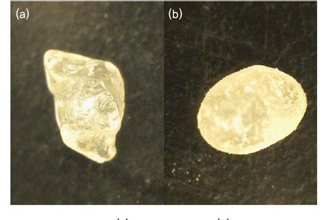 Figure From Soil Particle Shape Analysis Using Fourier Descriptor Analysis Semantic Scholar