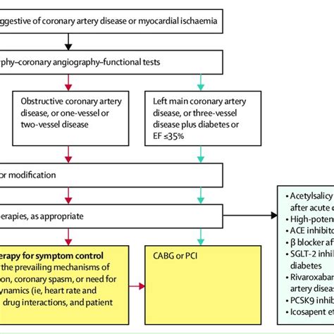 Managing The Treatment Of Angina According To Identified Underlying