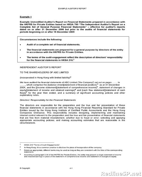 Amazing Audit Report Template RedlineSP