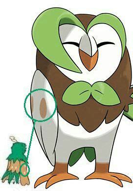 In Depth Analysis Comparison Dartrix and the leaked final evolution Pokémon Amino