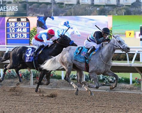 ‘surreal Victory With Lovesick Blues Propels Barocio Into Breeders
