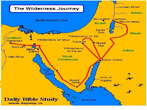 Journey Through The Wilderness