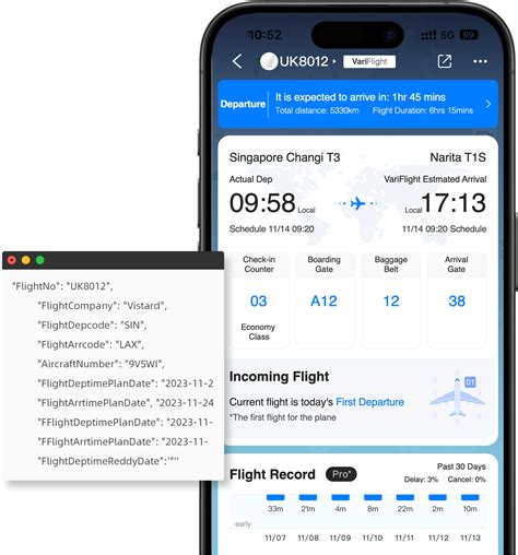 Flight Status Data Set Flight Data API VariFlight