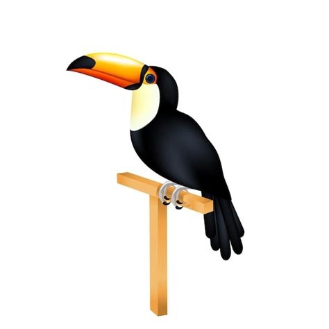 Premium Vector Vector Toucan Bird Vector File