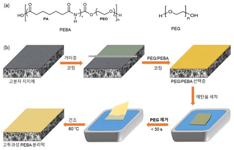 [과학기술]투과도 75 ↑…co₂ 포집 친환경 분리막 개발 전자신문
