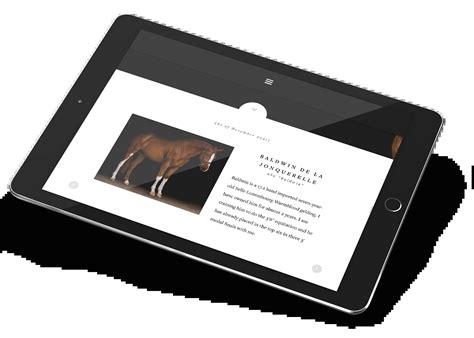 Lainie Rubin Equiluxe Marketing