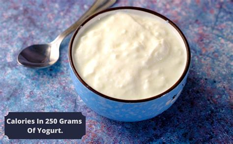 How Many Calories In Yogurt Ayesha Nasir