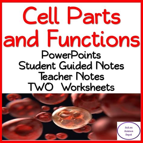 Cell Parts And Functions Powerpoints Student Guided Notes Teacher Notes Two Worksheets