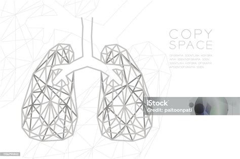 폐 모양 와이어 프레임 다각형 실버 프레임 구조 의료 과학 오르간 개념 디자인 일러스트 레이 션 검은 그라데이션 배경에 고립 된 복사 공간 벡터 Eps 10 폐에 대한 스톡