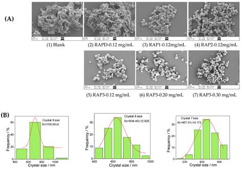 Calcium Oxalate Structure