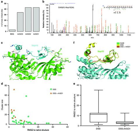 Cross Linking Of The Cnpg Complex A Number Of Cross Linked Peptides Download Scientific